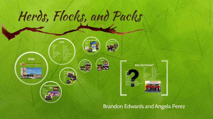 Herds, Flocks, and Packs by Angela Perez on Prezi
