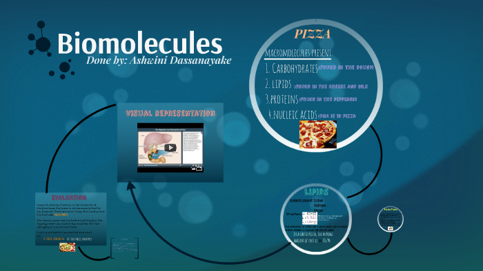 Pizza Biomolecules by Ashwini Dassanayake on Prezi