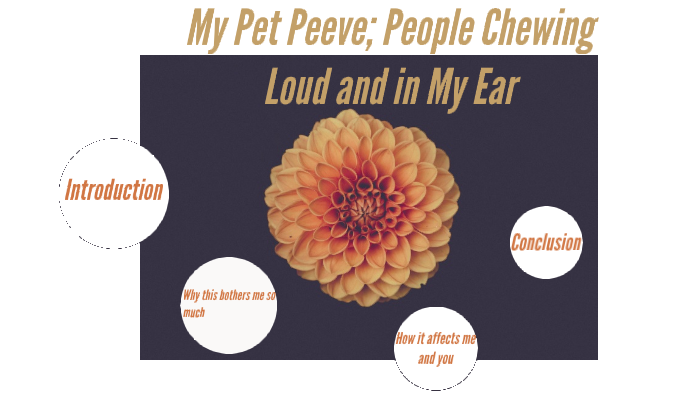 My Pet Peeve; When People Chew Their Food In My Ear And Very Loud by ...