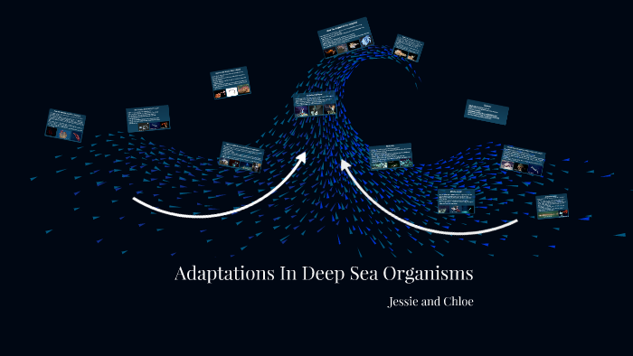 How Organisms Have Evolved And Adapted To Survive In The Deep Sea by ...