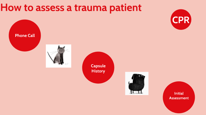 trauma flowchart by Alexia Yiannouli on Prezi
