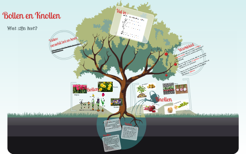 Bollen en knollen by Emmy Postma on Prezi