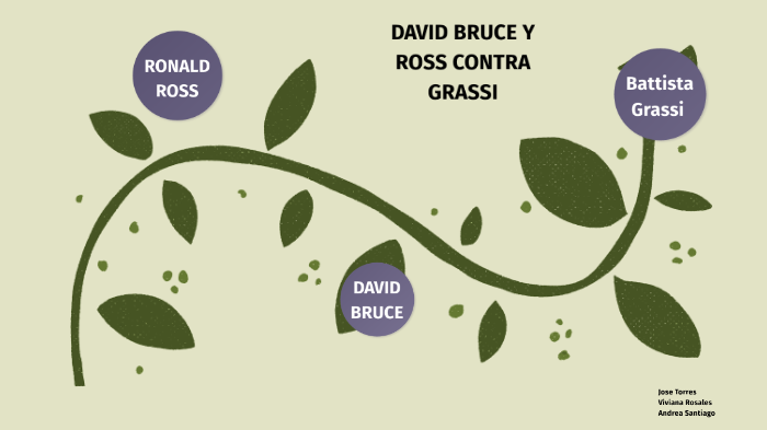 DAVID BRUCE Y ROSS CONTRA GRASSI by JOSÉ ANTONIO TORRES PEREZ on Prezi