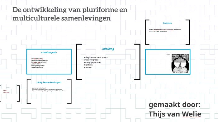 De ontwikkeling van pluriforme en multiculturele samenleving by thijs ...