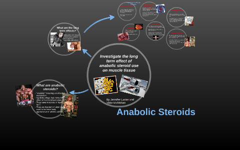 Long term effects of anabolic steroid use on muscle tissue by Jennifer ...