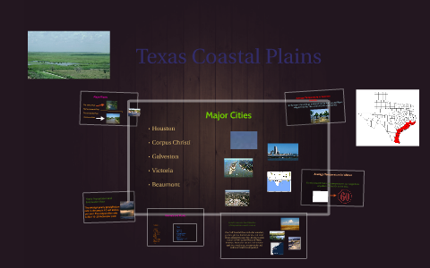 Texas Coastal Plains by Jack Bradbury on Prezi