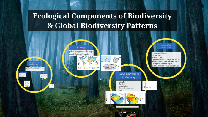 Ecological Components of Biodiversity & Global Biodiversity by Jennifer ...