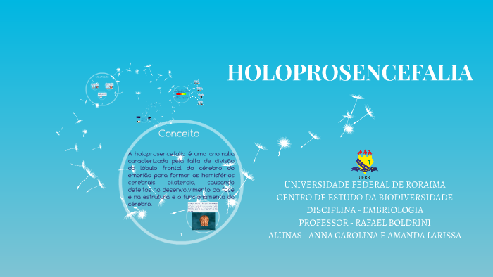 HOLOPROSENCEFALIA by Anna sOUZA Pereira on Prezi