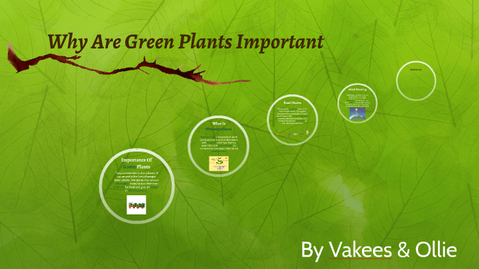 Why Are Green Plants Important by Ollie Britter on Prezi