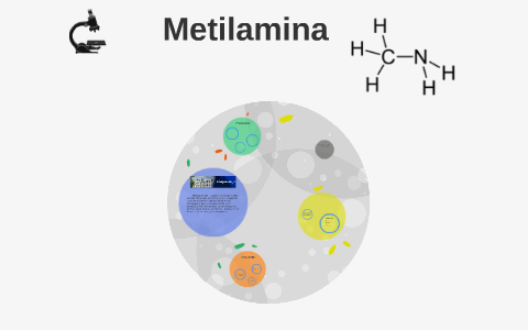Metilamina by Laura Laura on Prezi