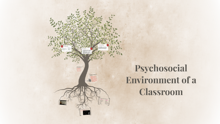 Psychosocial Environment of a Classroom by Anaya Lee on Prezi