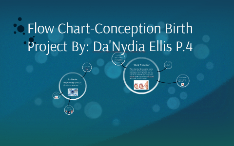 Flow Chart- Conception/Birth Chart by Da'Nydia Ellis on Prezi