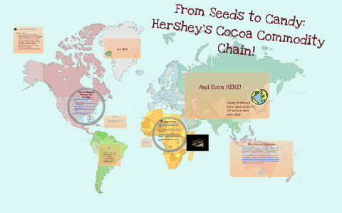 From Seeds to Candy: Hershey's Cocoa Commodity Chain by Kimberly ...