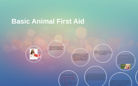 Basic Animal First Aid by Autumn Stowers on Prezi