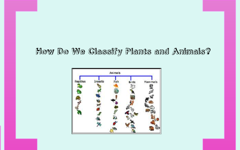 Classifying Plants and Animals by Lloyd Wood on Prezi