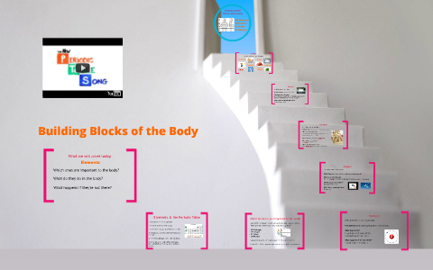 Building Blocks of the Body by Claire Wernham on Prezi