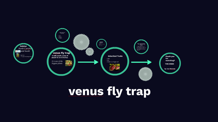 vens fly trap by ian merrow on Prezi