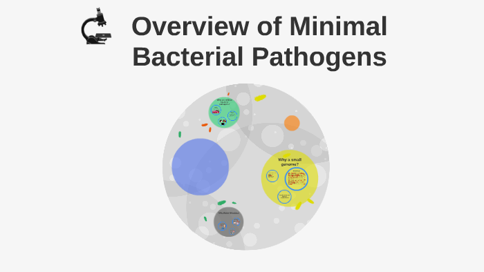 Overview of Minimal Bacterial Pathogens by Sarahi Ontiveros on Prezi