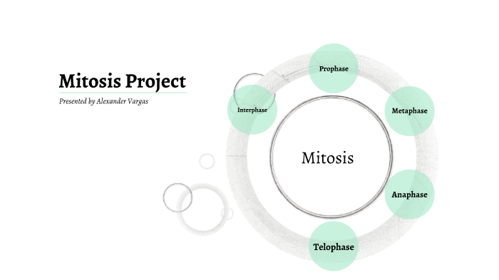 Mitosis Project by Alex Vargas on Prezi