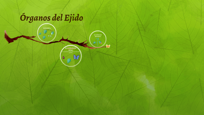 Órganos del Ejido by Irad Garcia Martinez on Prezi