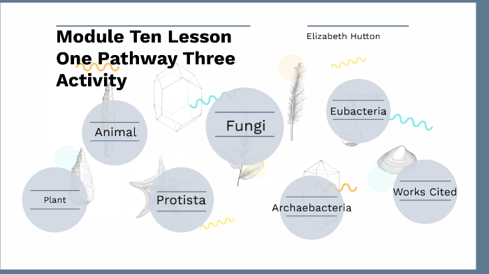 Module Ten Lesson One Pathway Three Activity by Elizabeth Hutton on Prezi