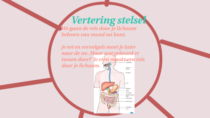 vertering stelsel by on Prezi