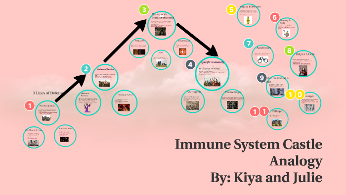 Immune System Castle Analogy by kiya tut on Prezi