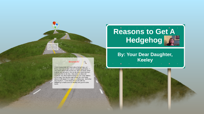 Reasons To Get A Hedgehog by Keeley Yaw on Prezi