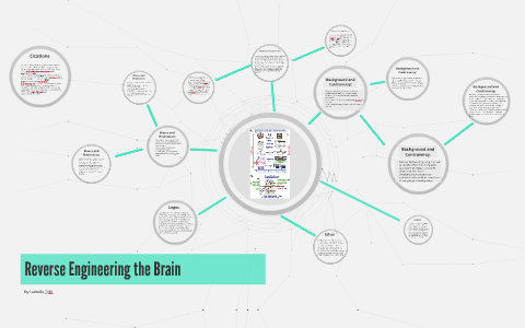Reverse Engineering the Brain by Isabella Tidd on Prezi