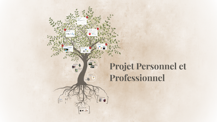 Projet Personnel et Professionnel by Claire SIX