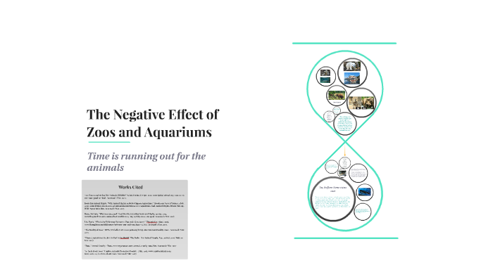 The Negative Effect of Zoos and Aquariums by Erika Parker on Prezi