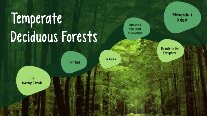 Temperate Deciduous Forests by Myles Pohlman on Prezi