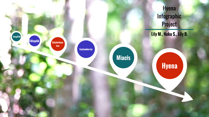 Evolution Infographic by prezi prezi on Prezi