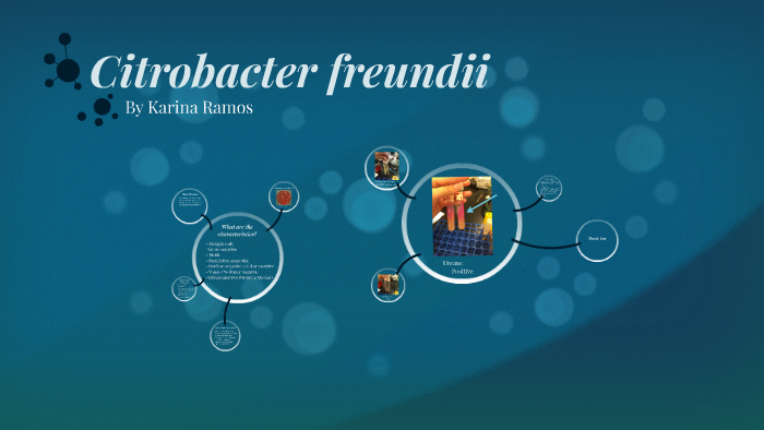 Citrobacter freundii by Karina Ramos on Prezi