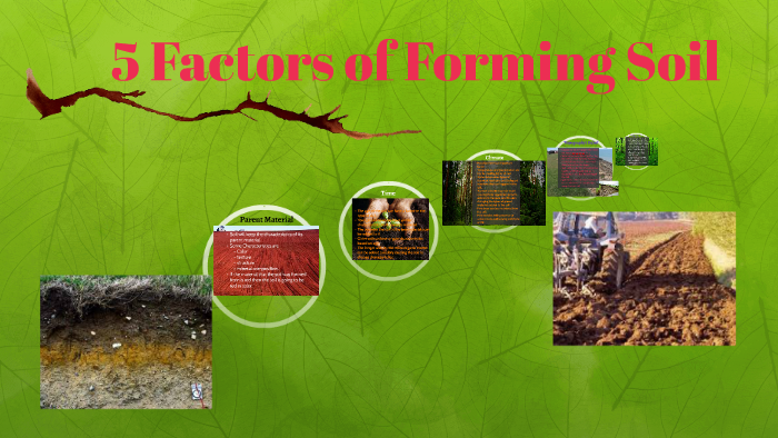 5 Soil Forming Factors by Austin Schauer on Prezi