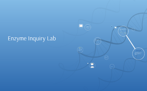 Enzyme Inquiry Lab by haley hatfield on Prezi