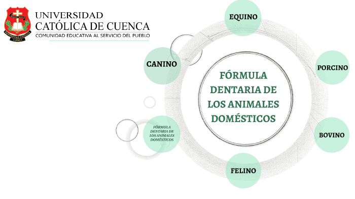 FÓRMULA DENTARIA DE LOS ANIMALES DOMÉSTICOS by Jimmy Briones on Prezi