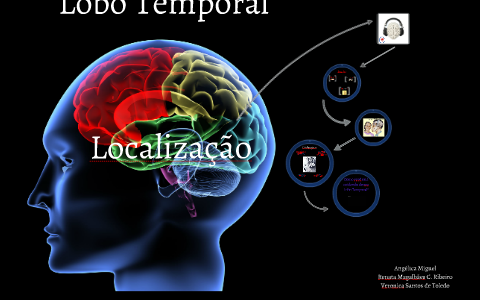 Lobo Temporal by Renata Ribeiro on Prezi