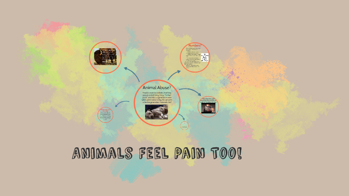 animals feel pain too by loren L on Prezi