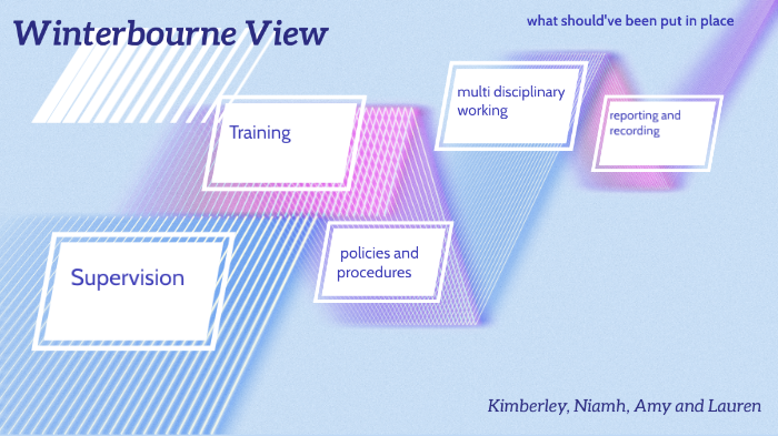 Winterbourne View - what should've been in place by kimberley wackrill ...