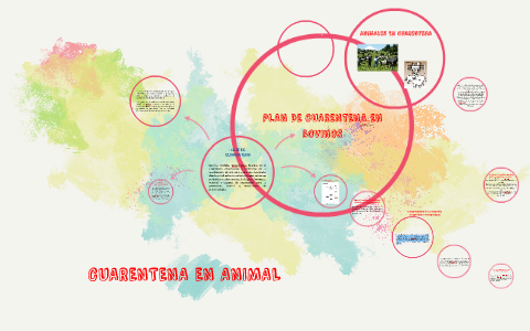 CUARENTENA EN ANIMAL by faisuly sarabia varela on Prezi