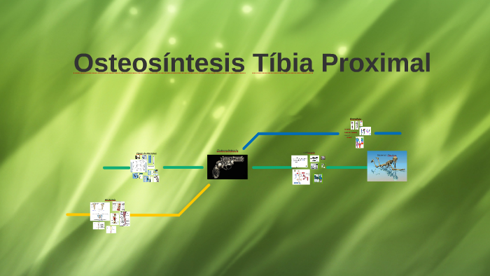 Osteosíntesis Tíbia Proximal by Mireia ardevol on Prezi