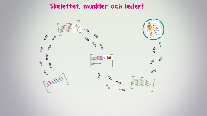 Skelettet, muskler och leder! by sandra wallin on Prezi