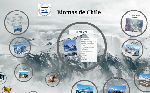 Biomas de Chile by Camiiii Araya