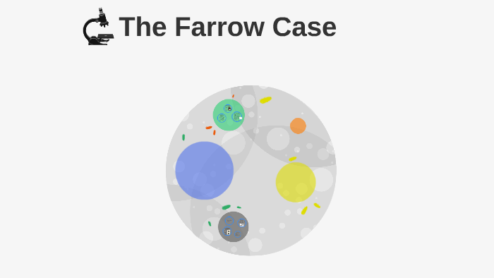 The Farrow Case by Dominique Haney on Prezi