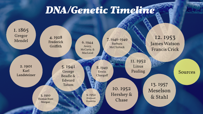 DNA/Genetics Timeline by Vageli Vlahos on Prezi