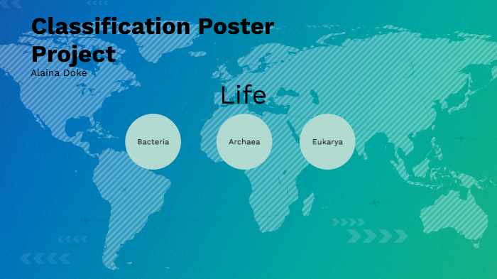 Classification Poster Project by Alaina Doke on Prezi