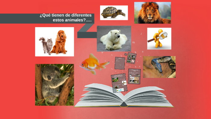 ¿De qué están cubiertos los animales? by Francisca Ramos on Prezi