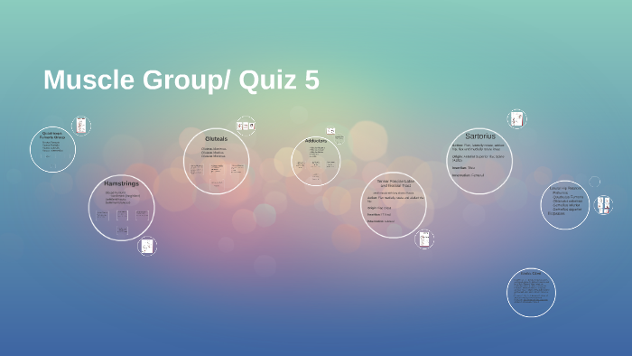 Muscle Group/ Quiz 5 by on Prezi