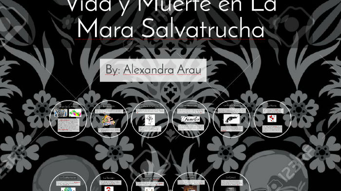 Vida y Muerte en La Mara Salvatrucha by Alexandra Arau